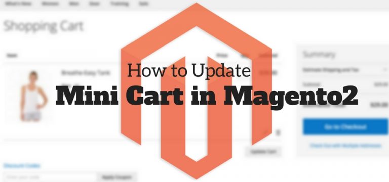 How to Update Mini Cart in Magento2 ? | Envision eCommerce